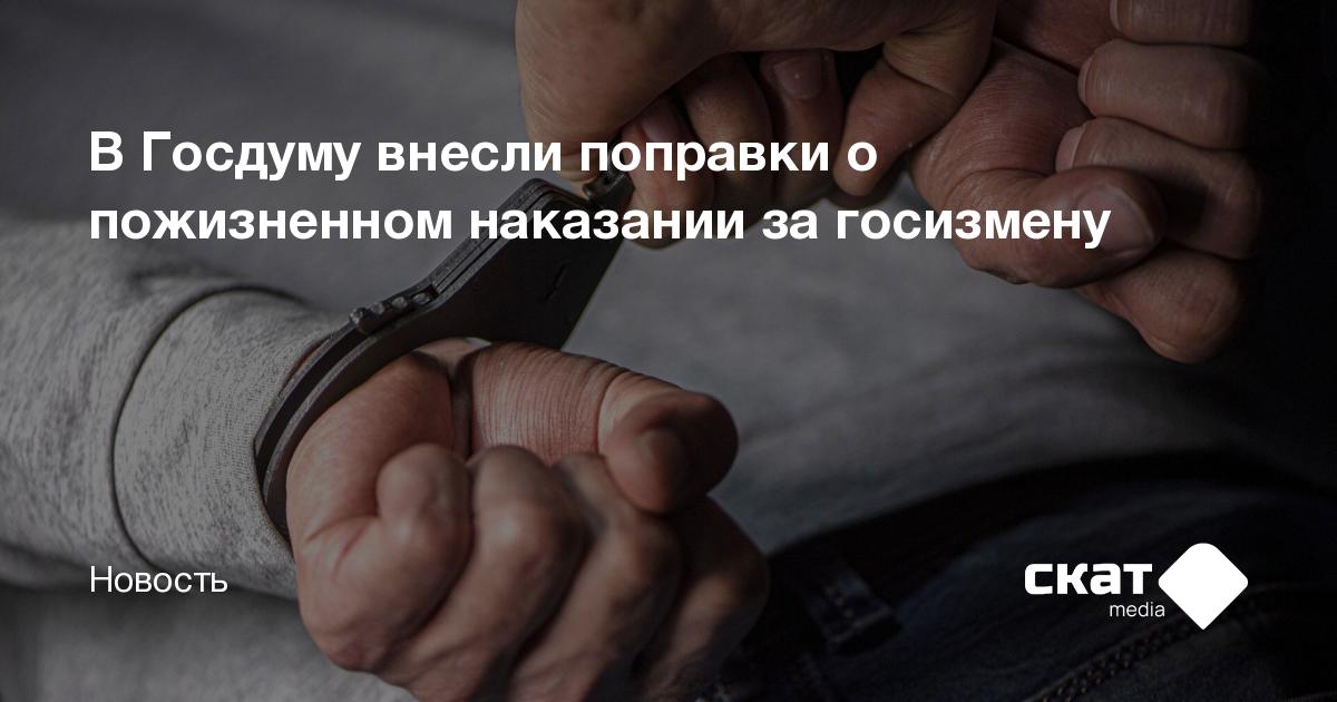 В Госдуму внесли поправки о пожизненном наказании за госизмену Скат Media